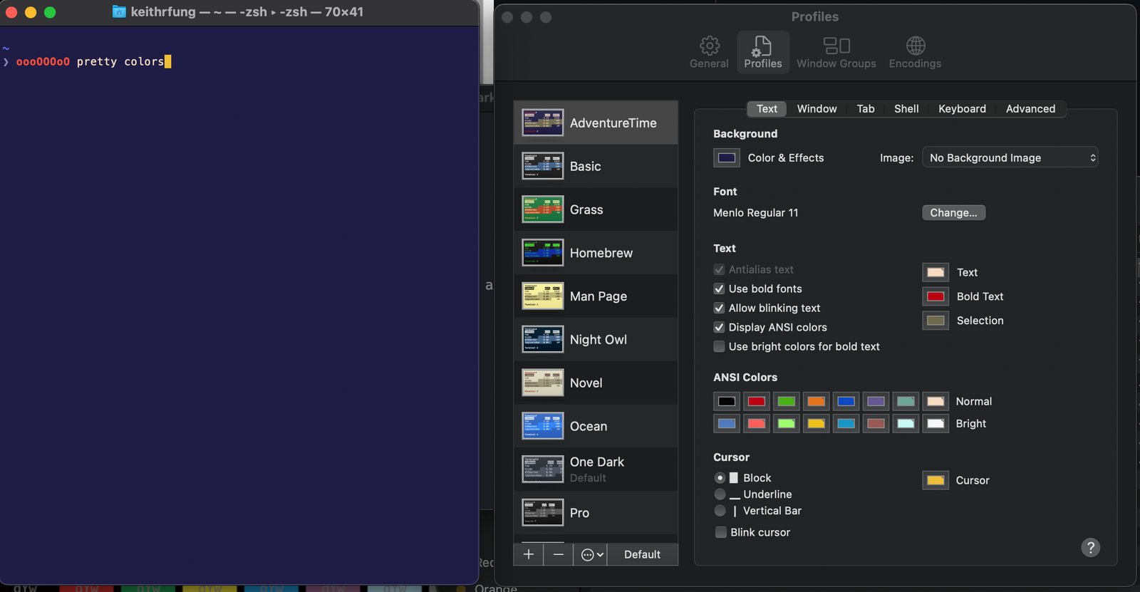 How to Upgrade Your Mac Terminal